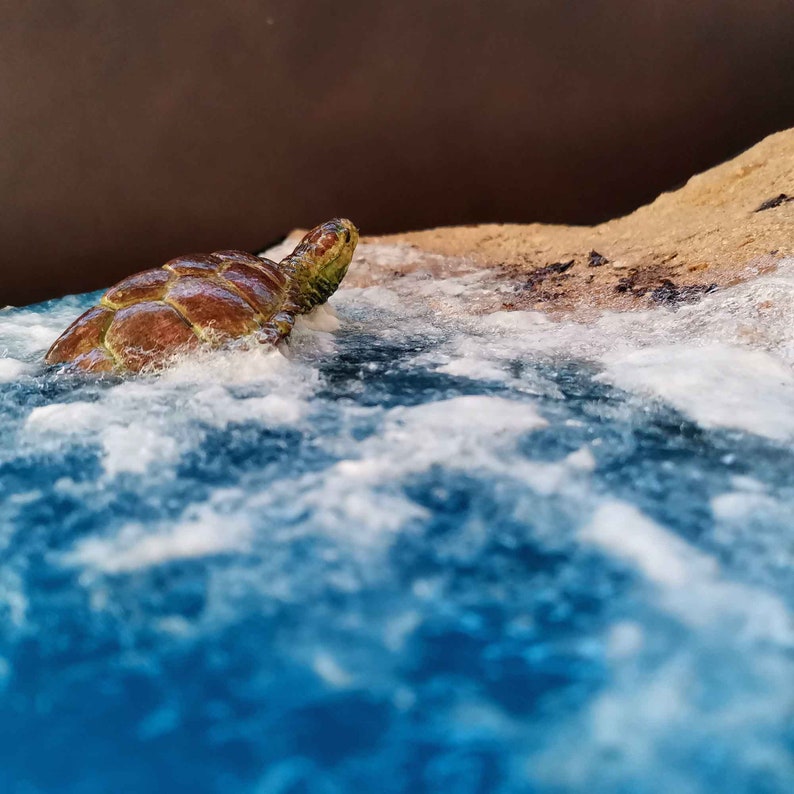 Turtle Diorama. - Etsy