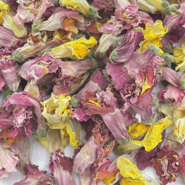 Dried Flowers Card - Etsy