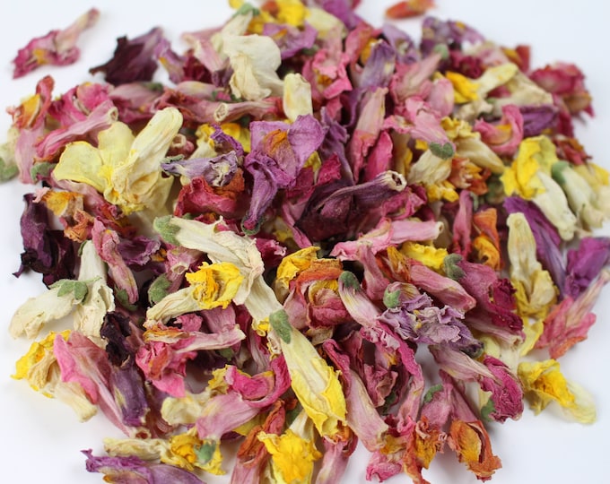 Dried Snapdragon Flowers - Etsy