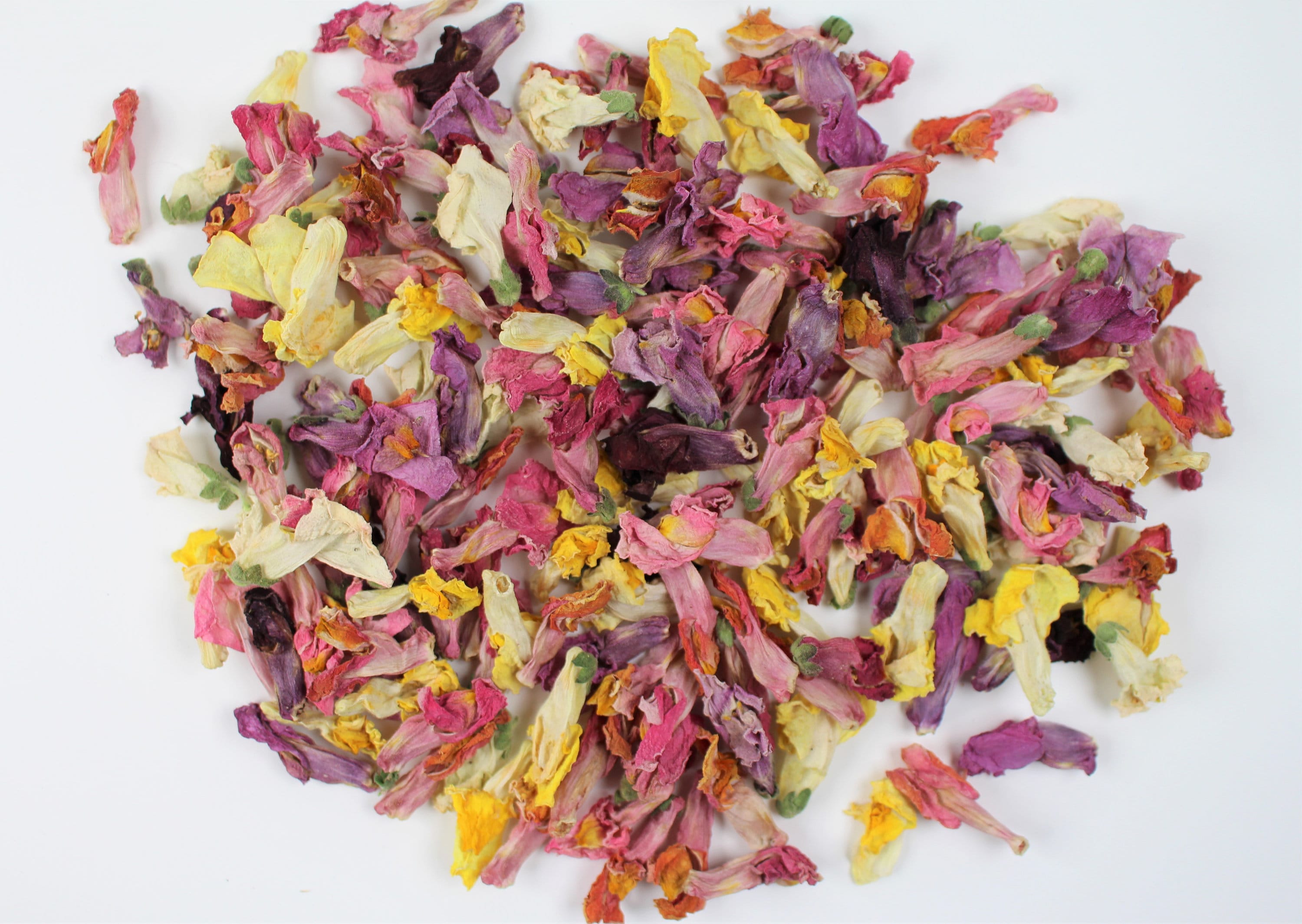 Dried Snapdragon Flowers - Etsy