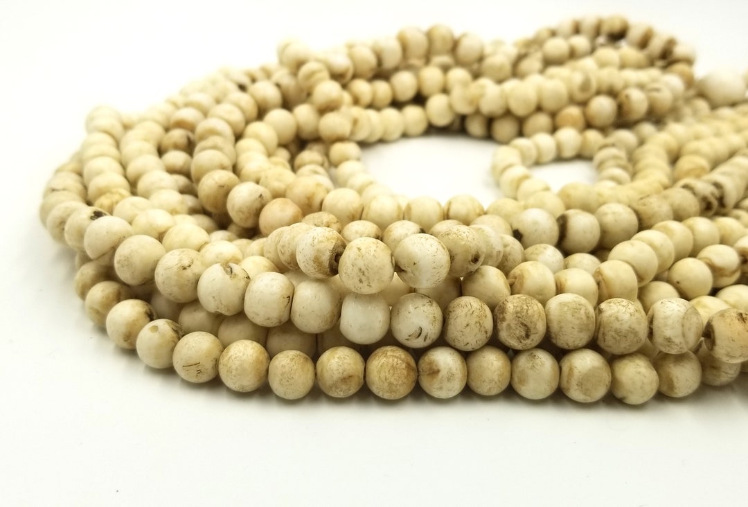 Tibetan Naga Conch Shell Beads, Inlaid Conch Shell, Tribal, Ethnic ...