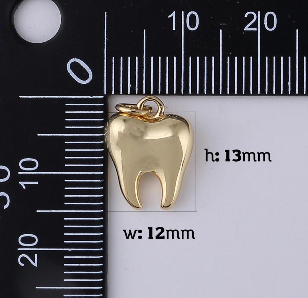 Gold Filled Human Tooth, Wisdom Tooth Pendant Charm Jewelry Making ...
