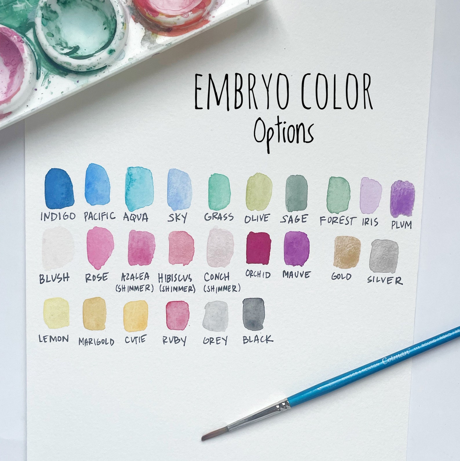 Embryo Art Watercolor Blastocyst Custom Personalized Unique - Etsy