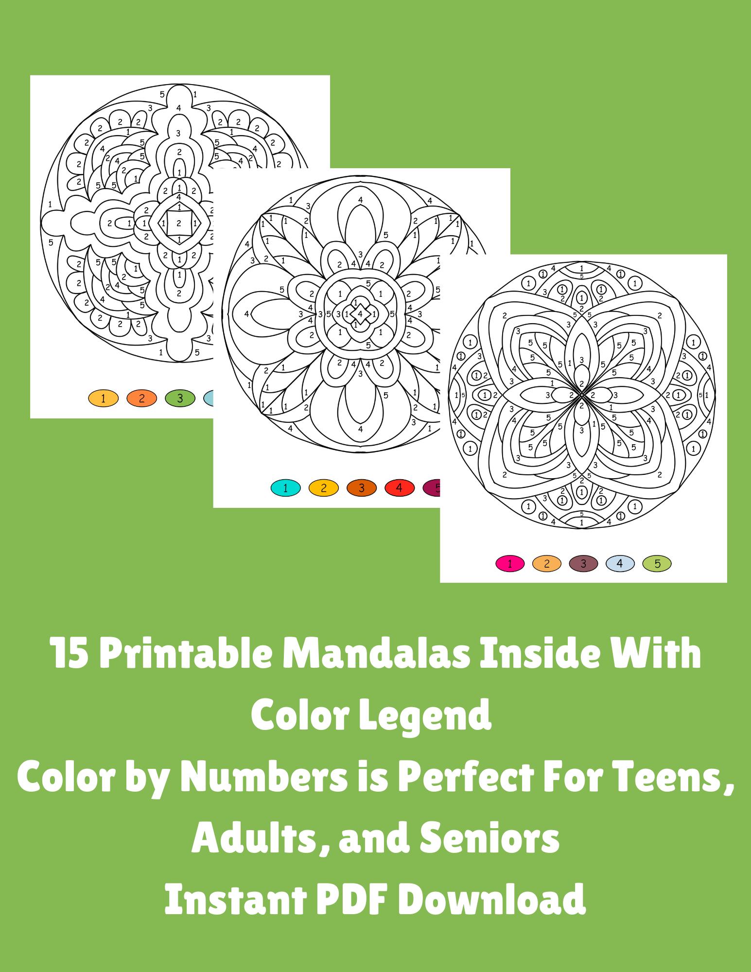Color by Numbers Mandala Coloring Book | 15 Intricate Printable ...