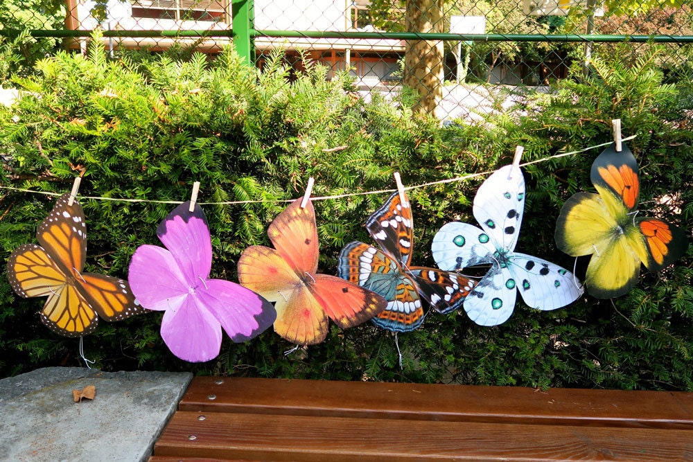 Printable Paper Butterfly Wings for Kids Group of 4 Natural Species - Etsy