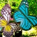 Printable Paper Butterfly Wings for Kids - Group of 4 Natural Species ...