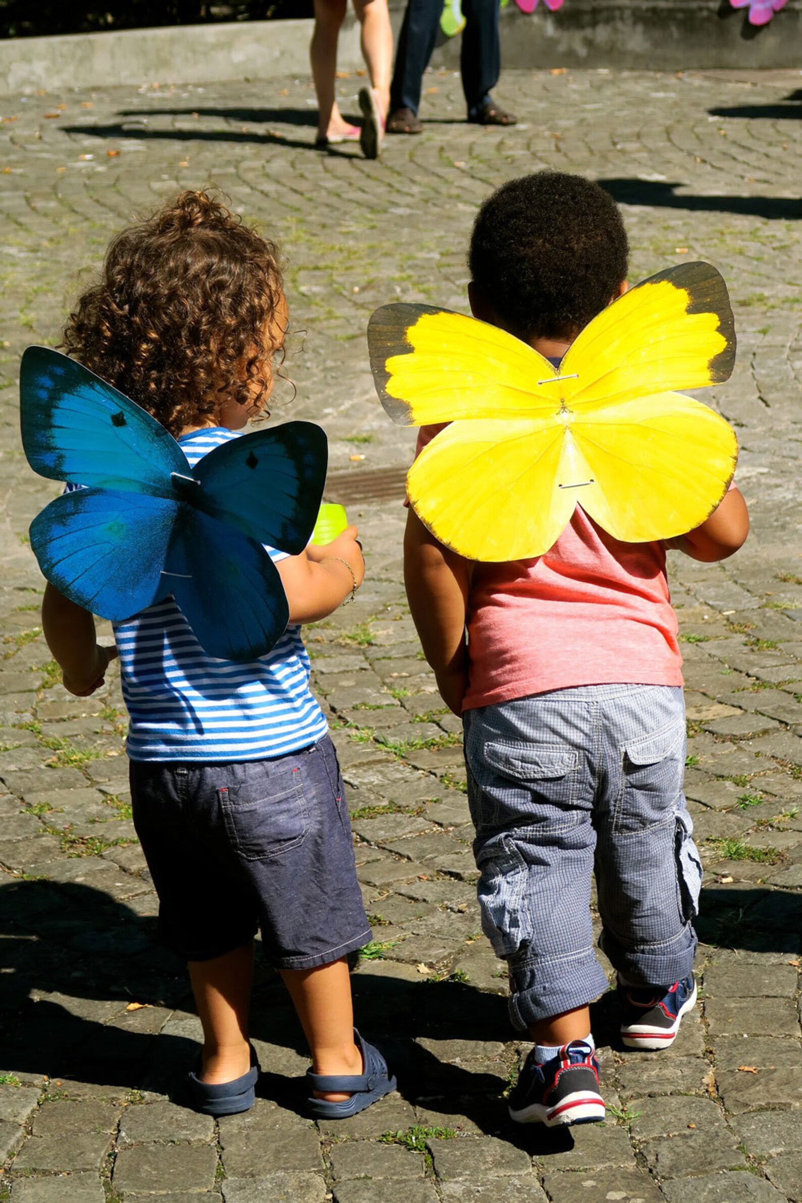 Printable Paper Butterfly Wings for Kids - Group of 4 Natural Species ...