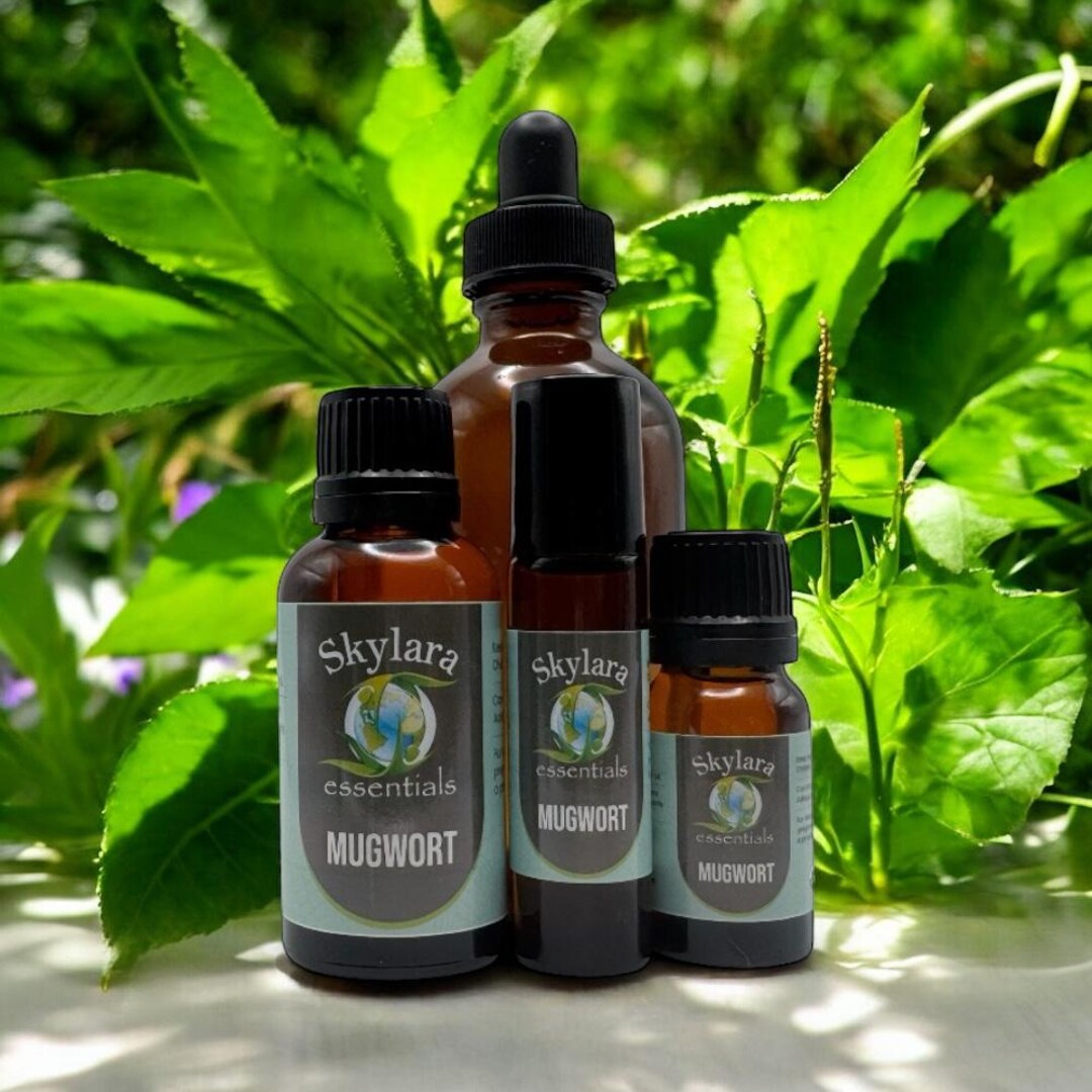 Mugwort Essential Oil – Herbaceous Aroma, Steam Distilled - Etsy