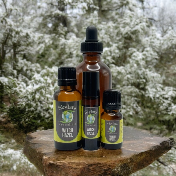 Witch Hazel Plant - Etsy