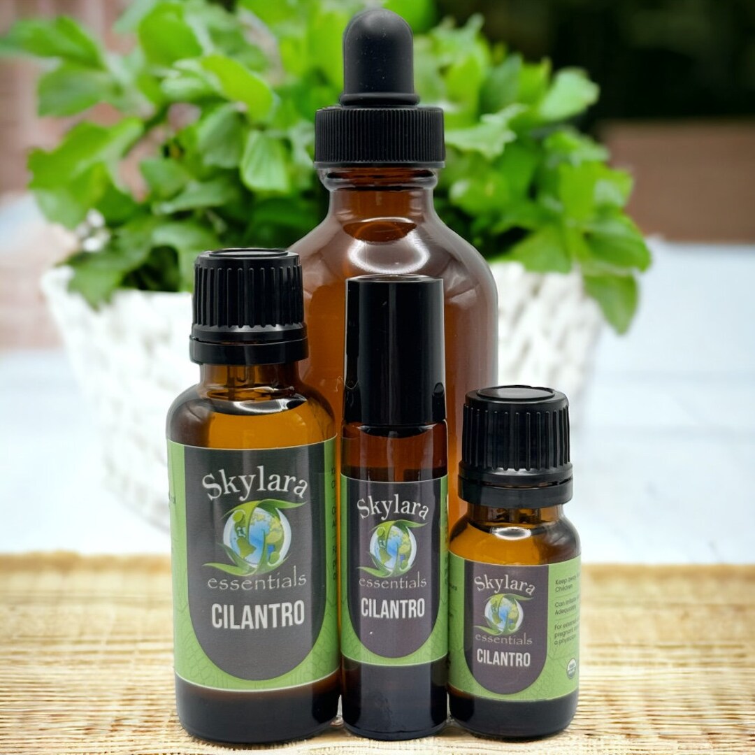 Pure Cilantro Essential Oil: Therapeutic Grade, Steam Distilled - Etsy