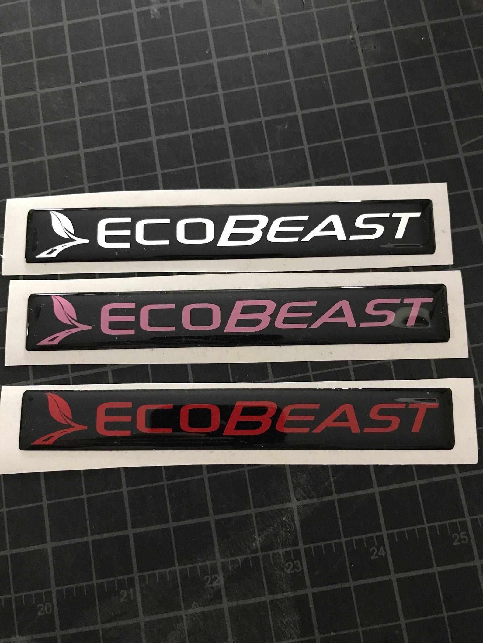 Gel Coated domed FORD ECOBEAST Emblem Overlay: Fits Ford - Etsy