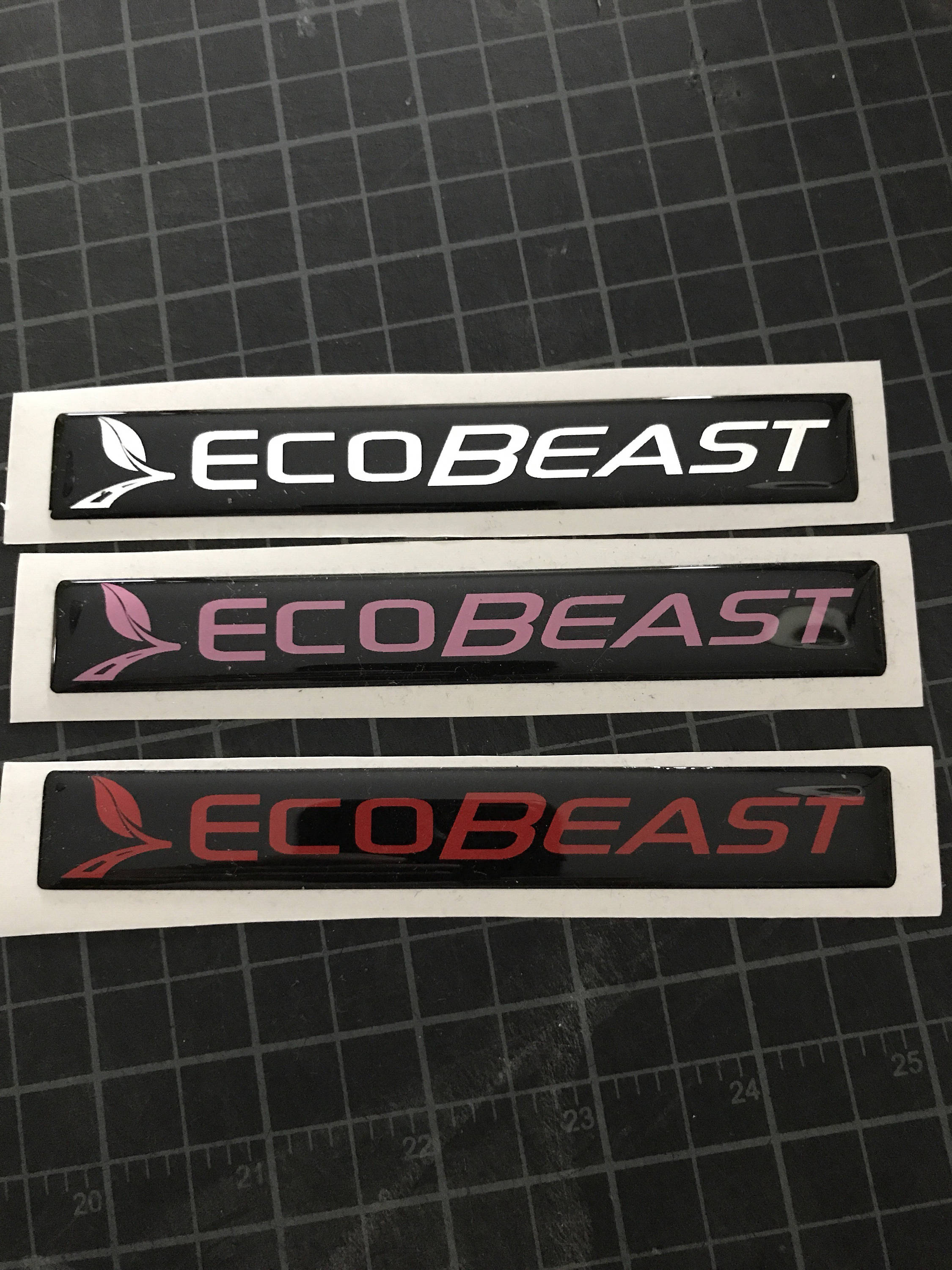 Gel Coated domed FORD ECOBEAST Emblem Overlay: Fits Ford - Etsy