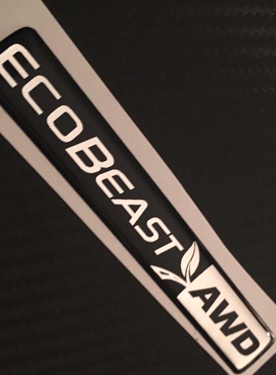 Gel Coated domed FORD Ecobeast AWD or Twin Turbo AWD Emblem - Etsy