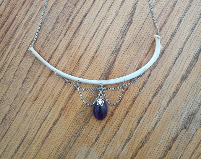 Coyote Rib Bone and Amethyst Necklace - Etsy