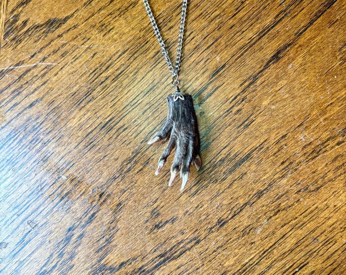 Real Mummified Muskrat Paw Pendant, Gothic Ritual Talisman, Pagan ...
