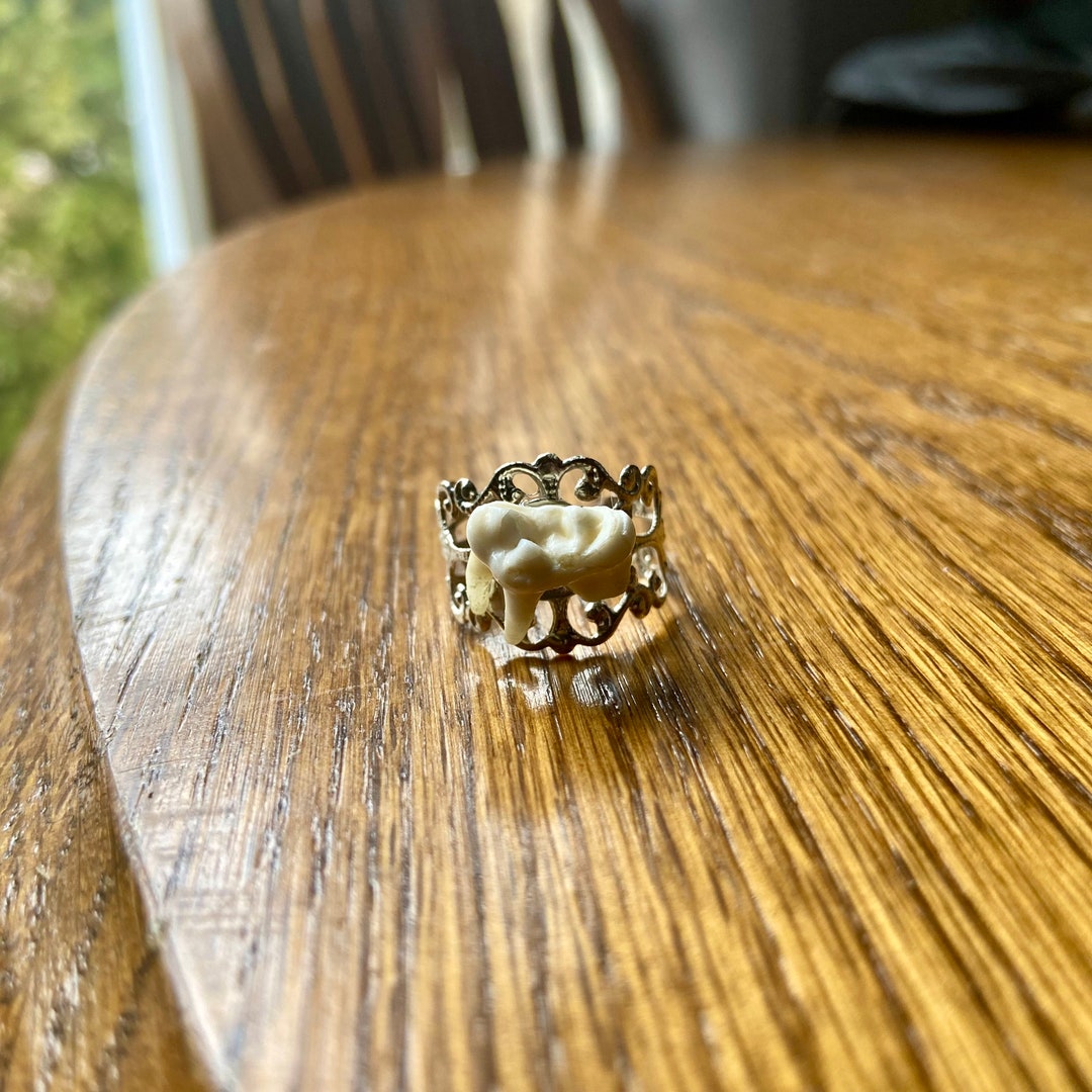 Coyote Tooth Adjustable Filigree Ring - Etsy