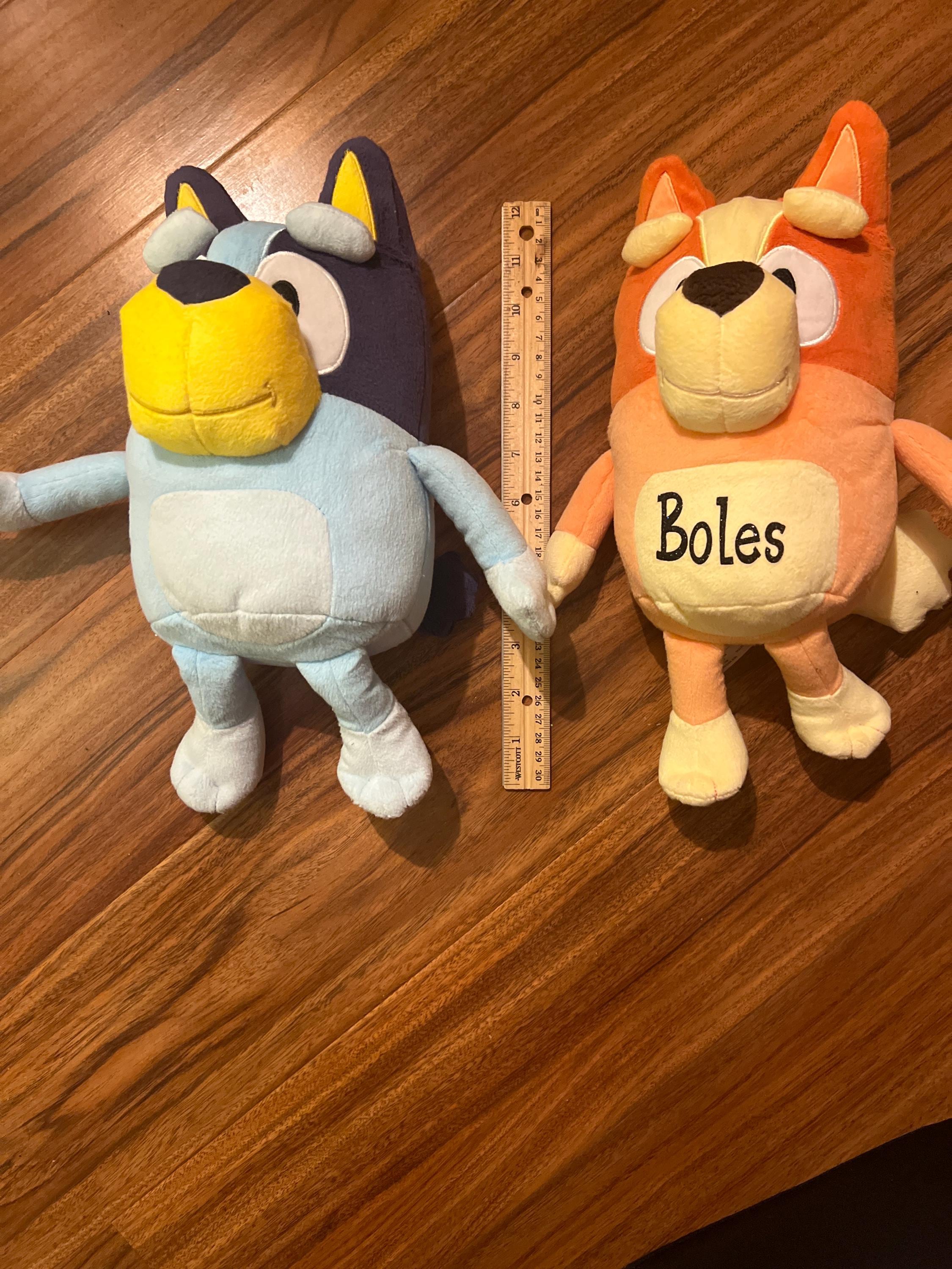 Personalized Stuffed Bluey and Bingo - Etsy