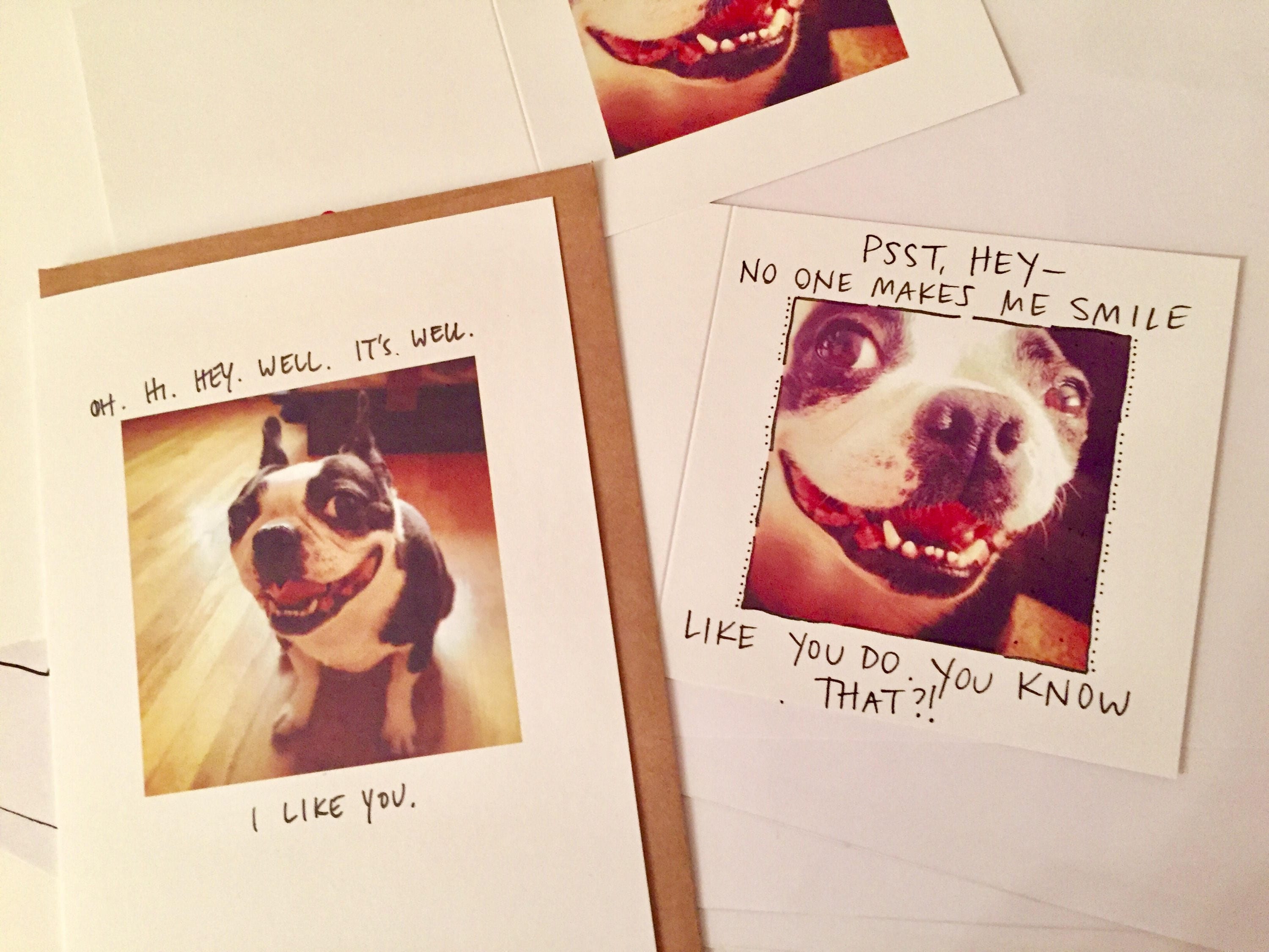 Psst Hey...no One Makes Me Smile Like You Do Boston Terrier - Etsy