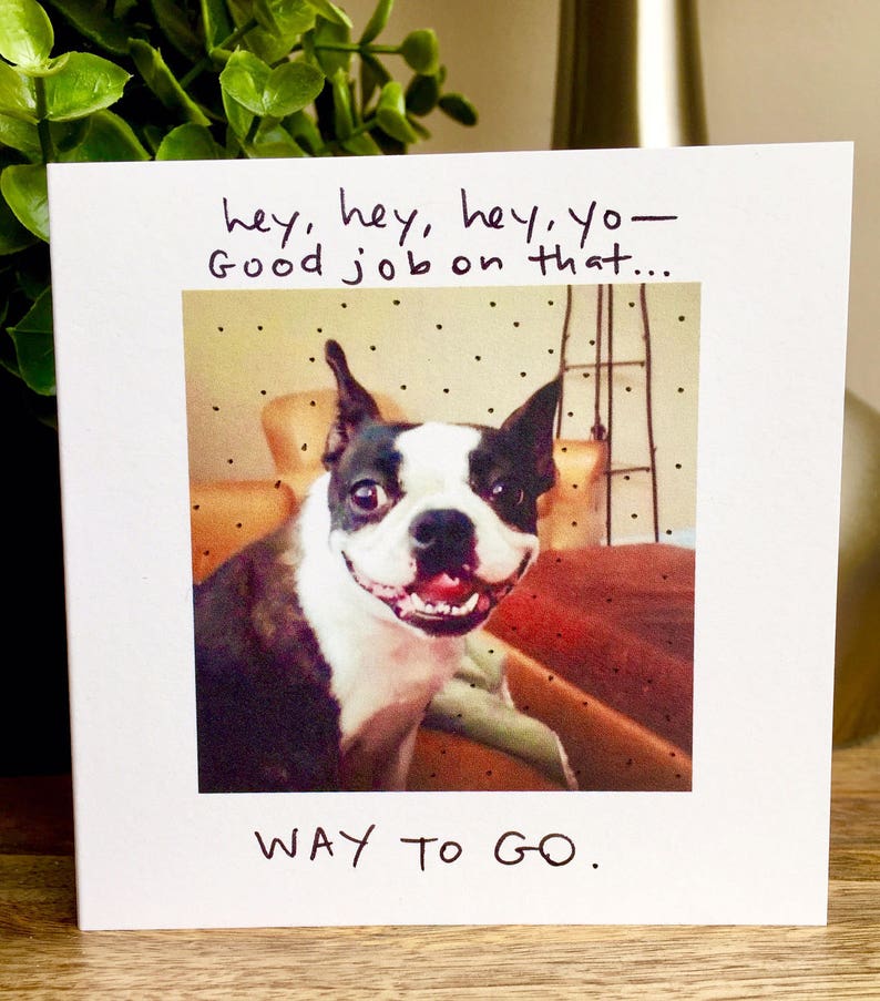 Way to Go Card, Boston Terrier Encouragement Card - Etsy