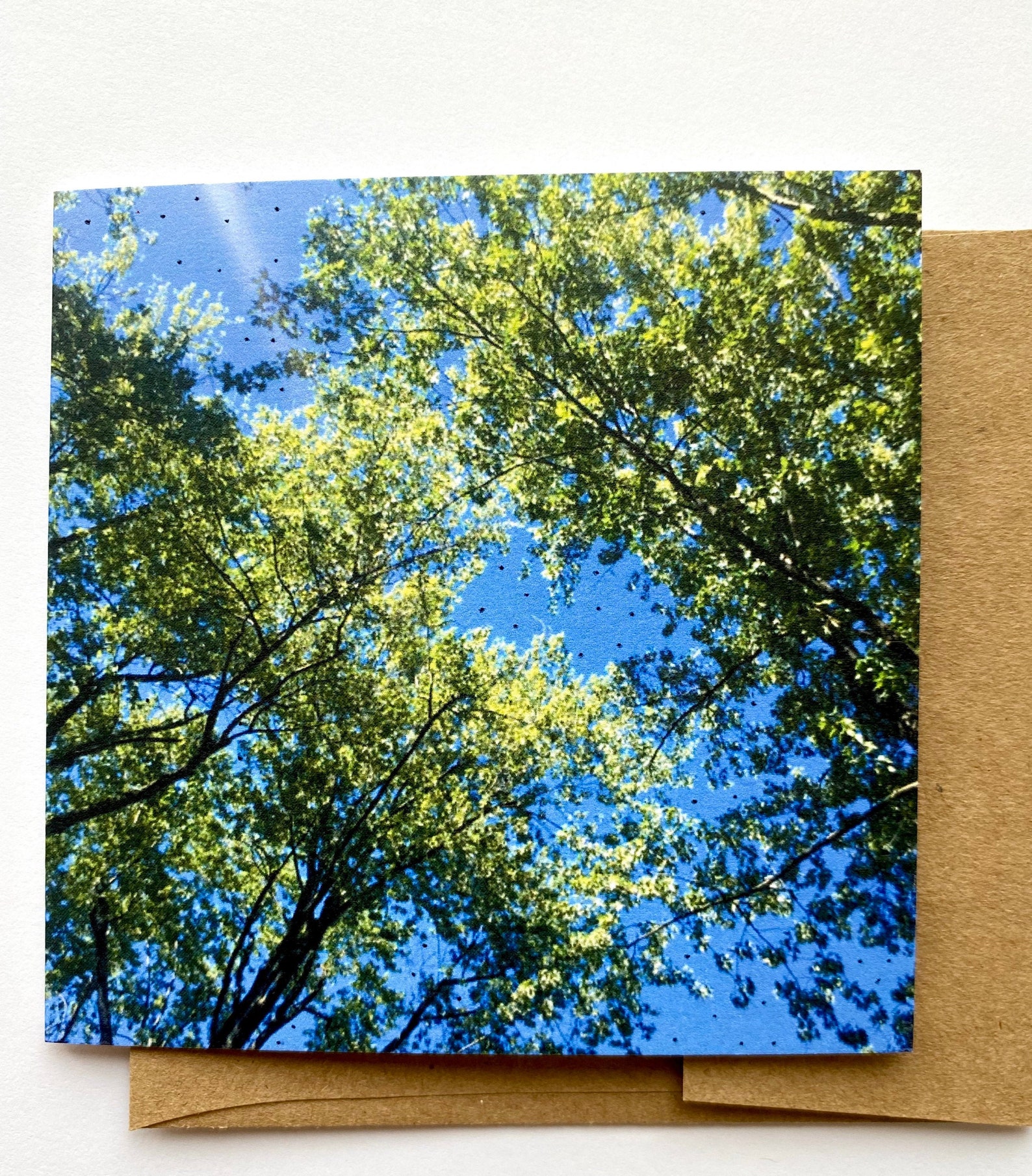 Blues and Greens, Nature Lover Card, Look up More Collection, Tree Card ...