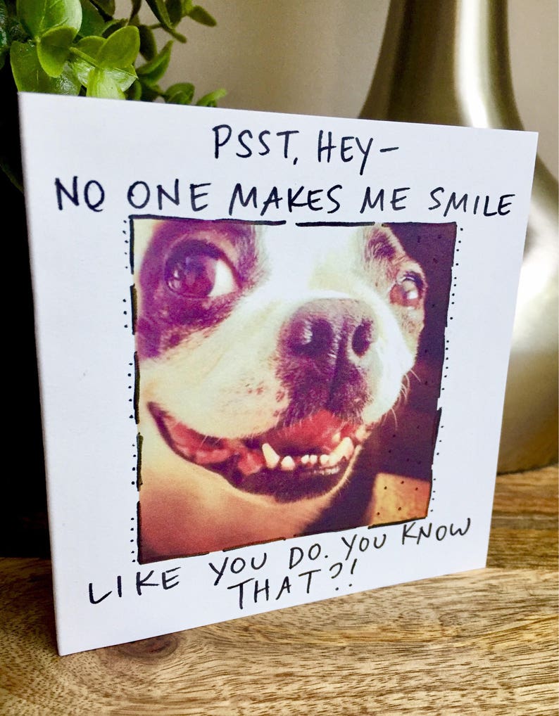 Psst Hey...no One Makes Me Smile Like You Do Boston Terrier - Etsy