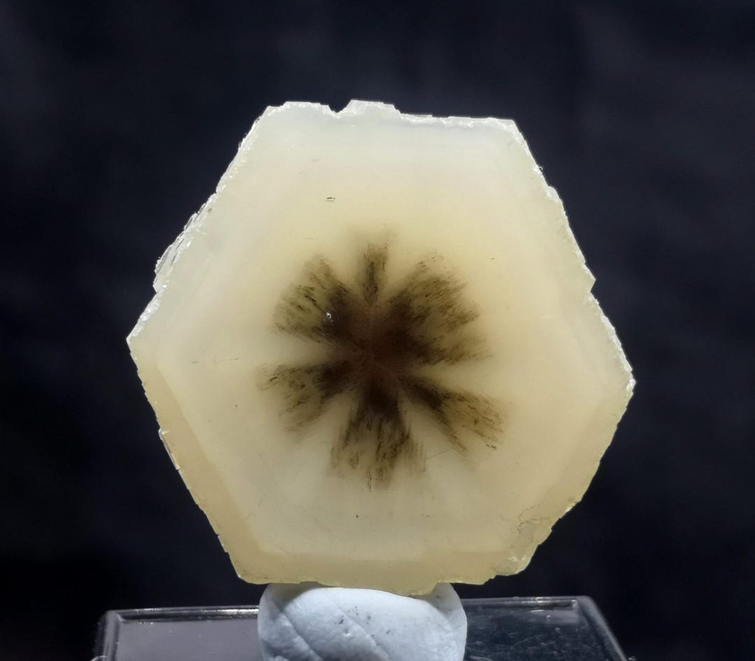 30mm Rare TRAPICHE Quartz Slice, Natural Mineral Specimen From Inner ...
