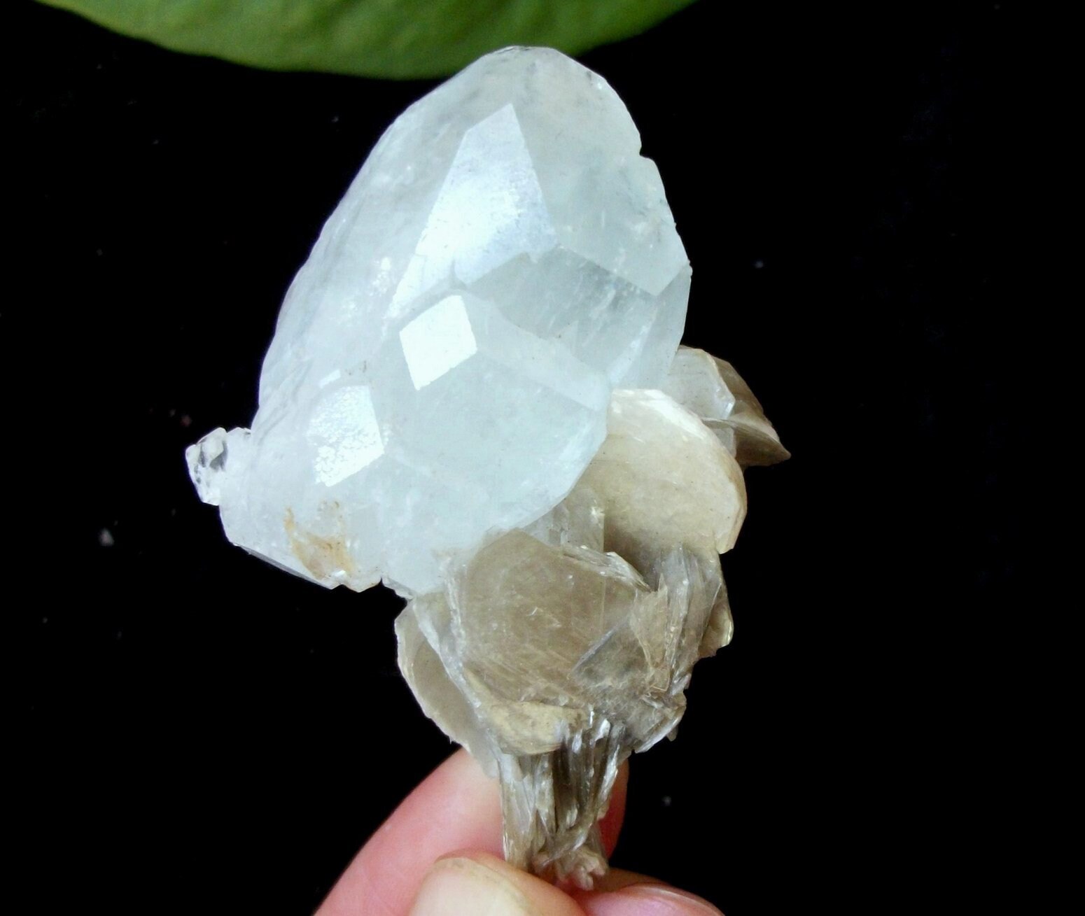 57mm LARGE CRYSTAL Light Blue Beryl var. Aquamarine crystal on | Etsy