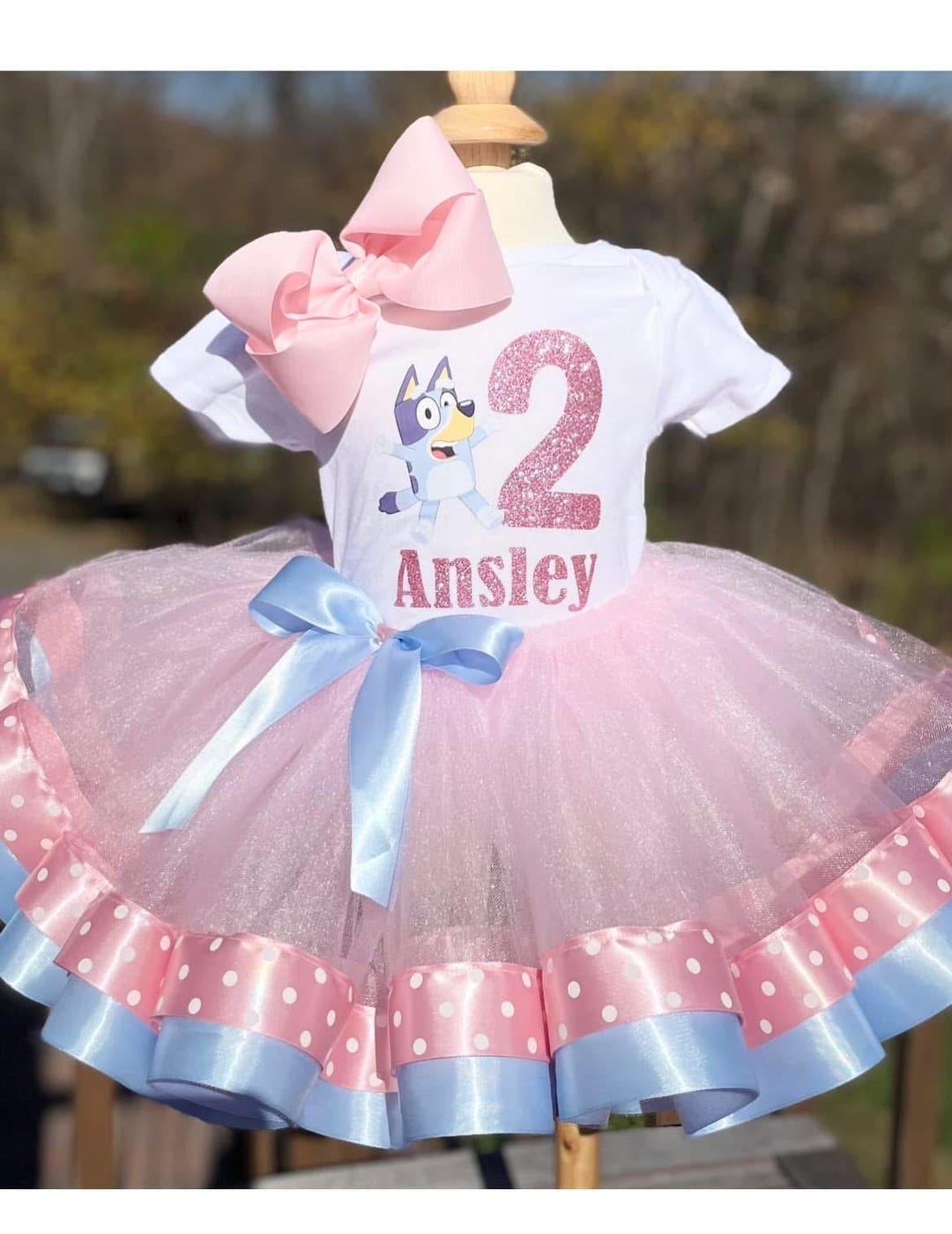 Bluey Tutu Set - Etsy