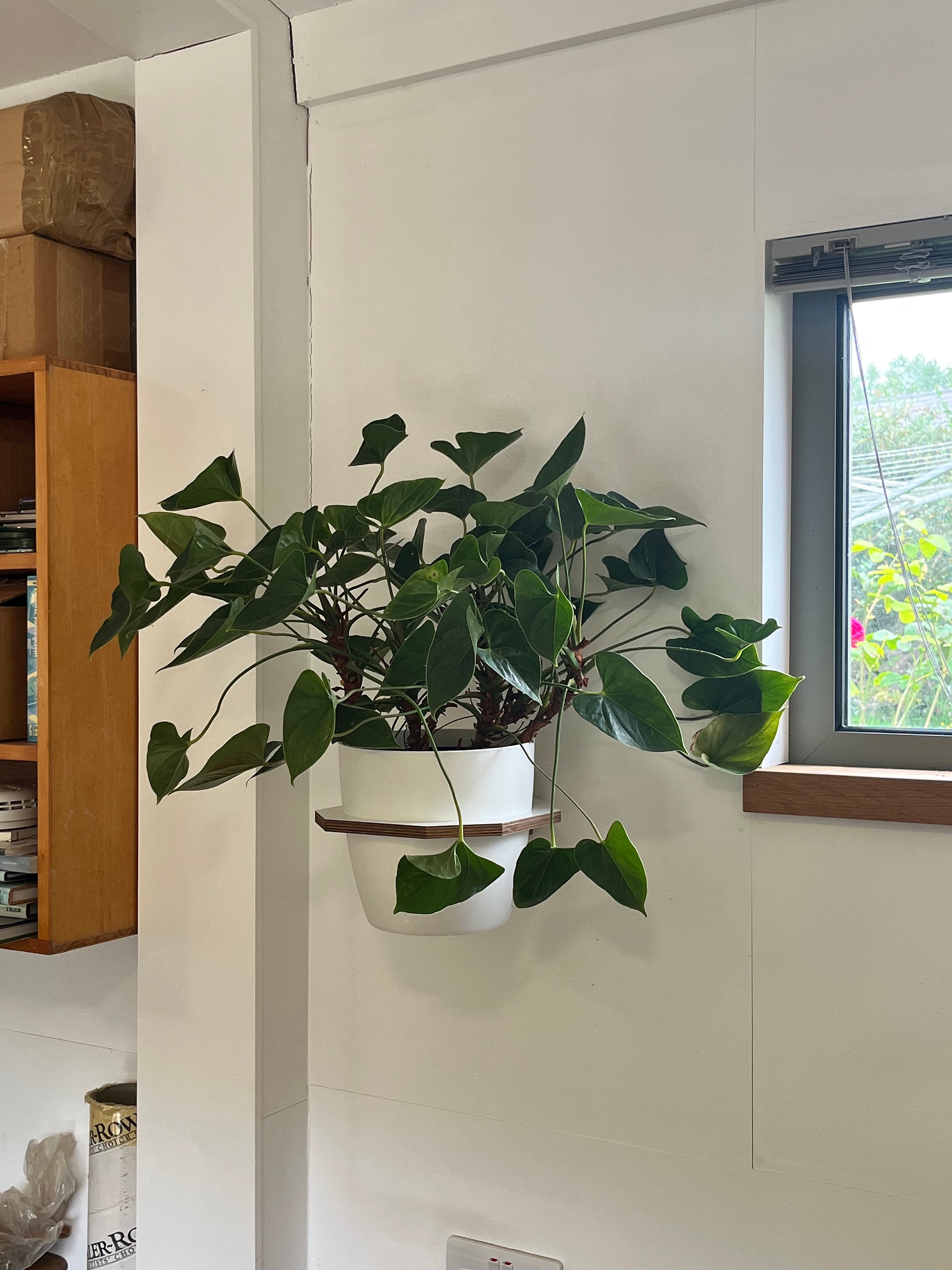 XL Wall Mounted Planter, Extra Large Indoor Planter - Etsy