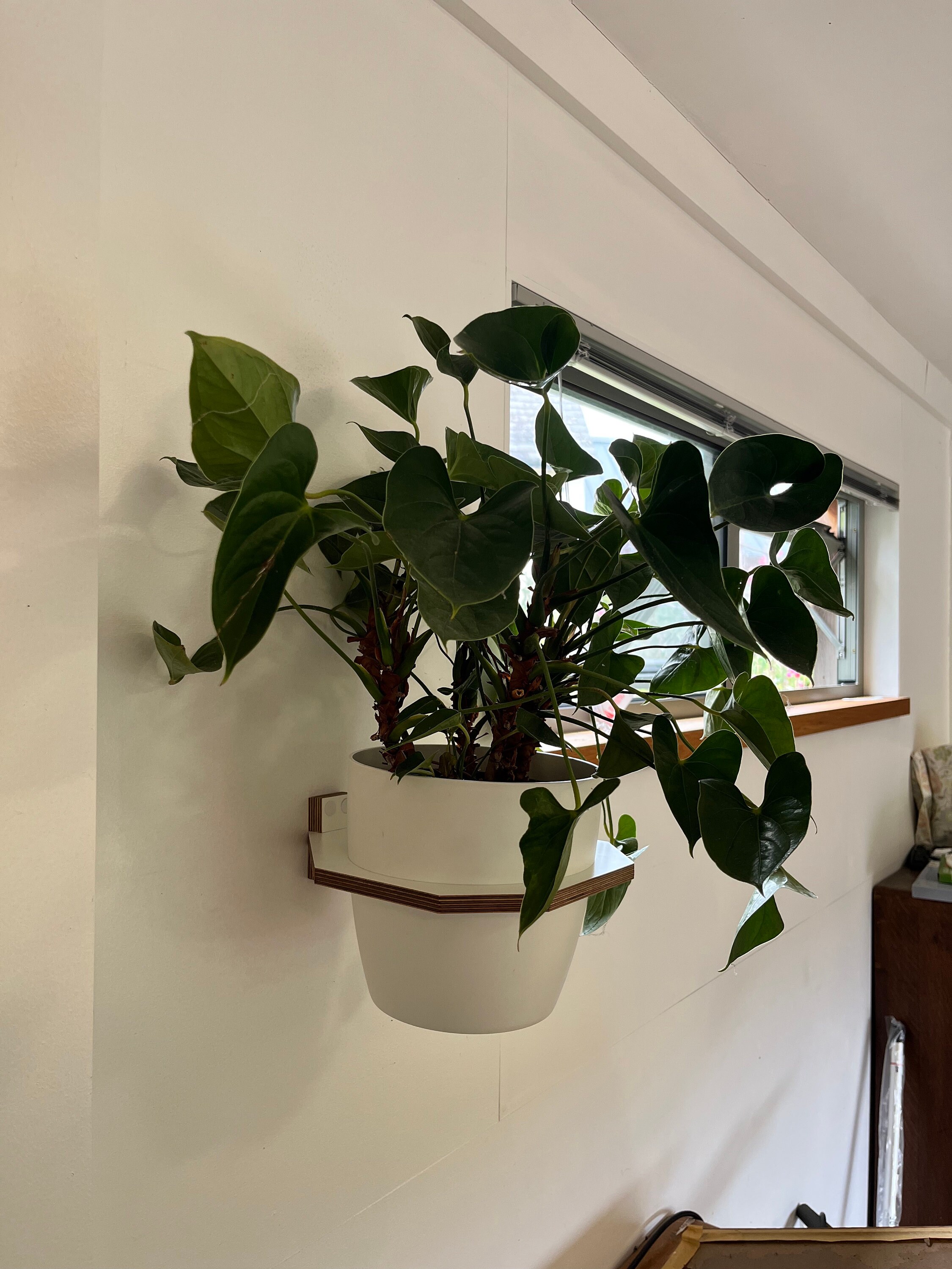 XL Wall Mounted Planter, Extra Large Indoor Planter - Etsy