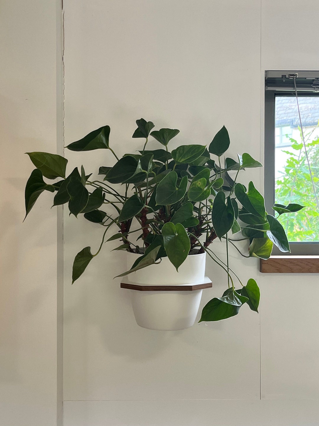 XL Wall Mounted Planter, Extra Large Indoor Planter - Etsy