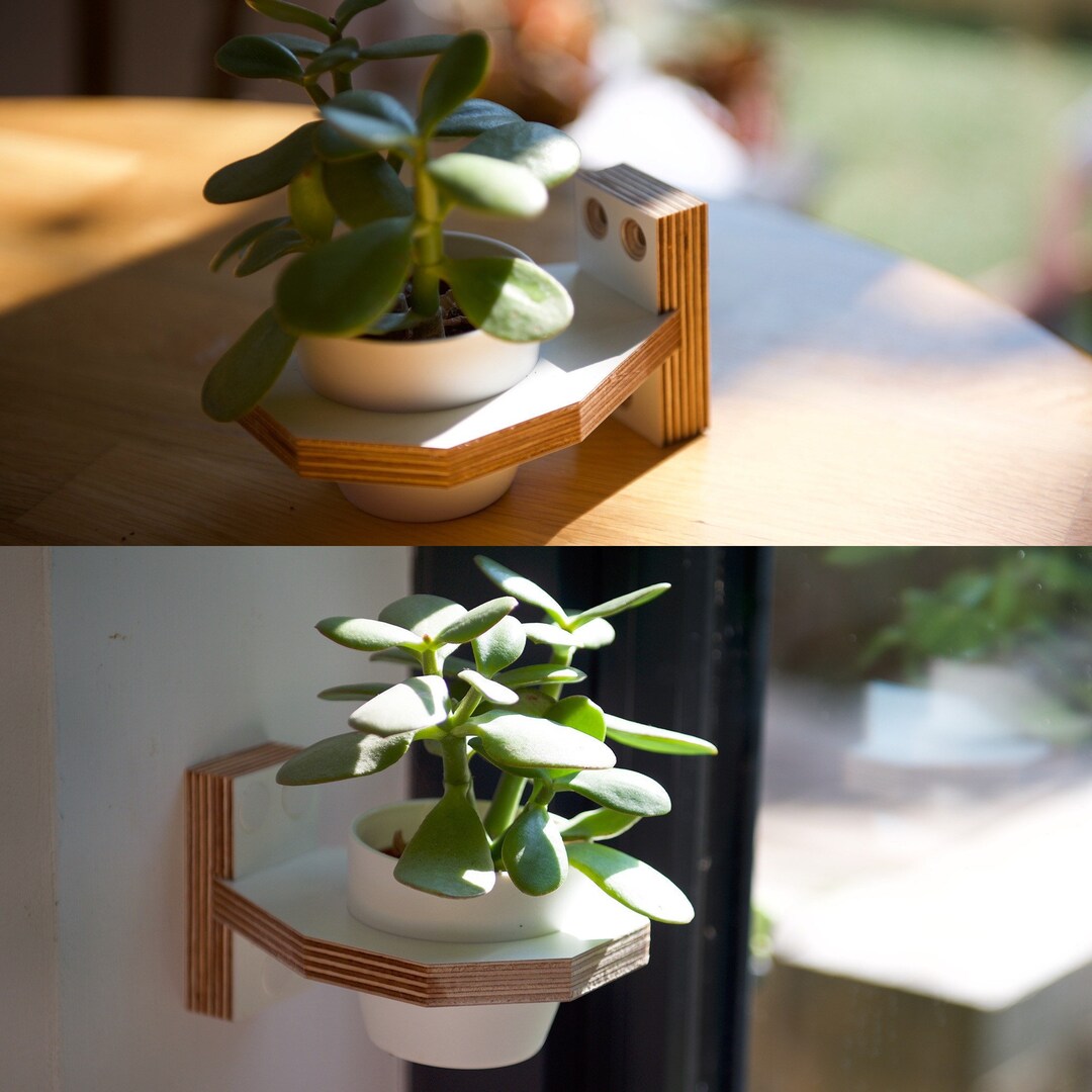 Small Wall Mounted Indoor Planter - Etsy