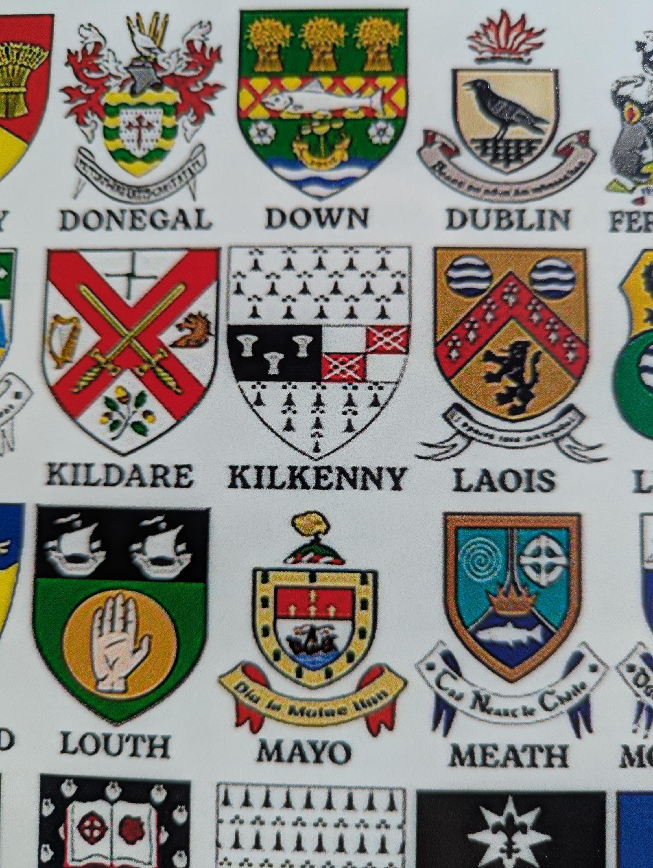 Counties of Ireland Eire Rectangular Metal Sign- 30 X 20 Cm/ 16 X 8 ...