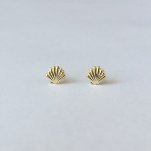 Tiny Shell Stud Earrings - Etsy
