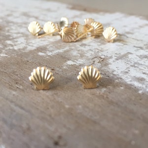 Tiny Shell Stud Earrings - Etsy