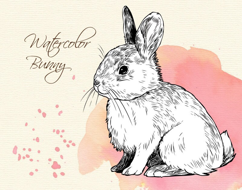 Watercolor cute bunny clipart | Etsy