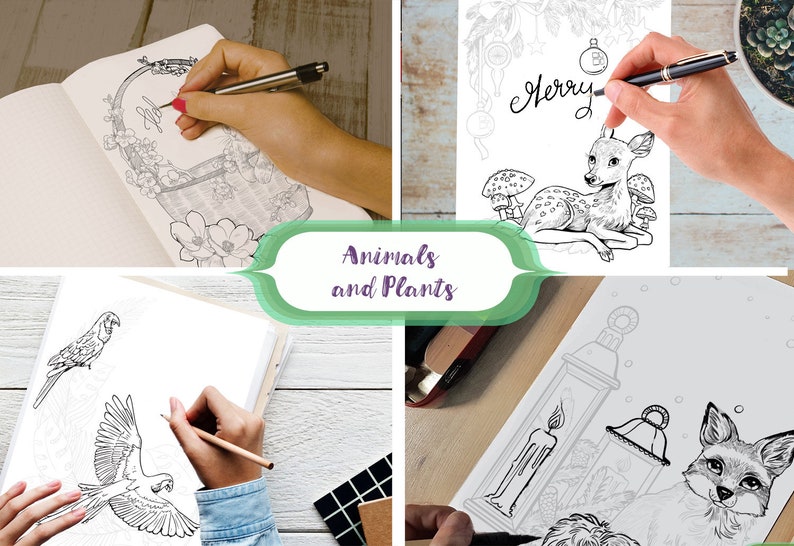 Animal and Plants Printable Coloring Pages With Place for Your ...