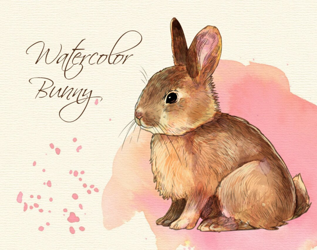 Watercolor Cute Bunny Clipart - Etsy