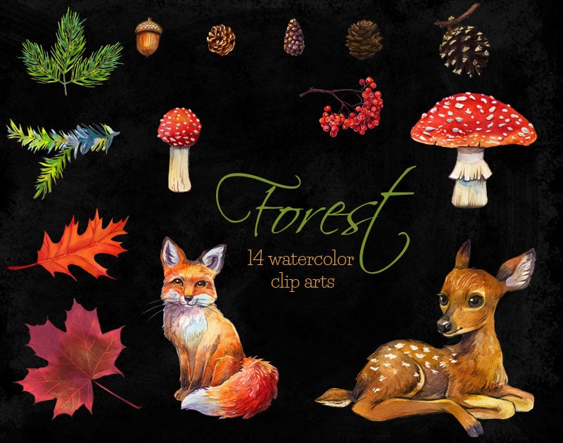 Forest Watercolor Clip Arts 14 Elements / Forest Animals Clip - Etsy