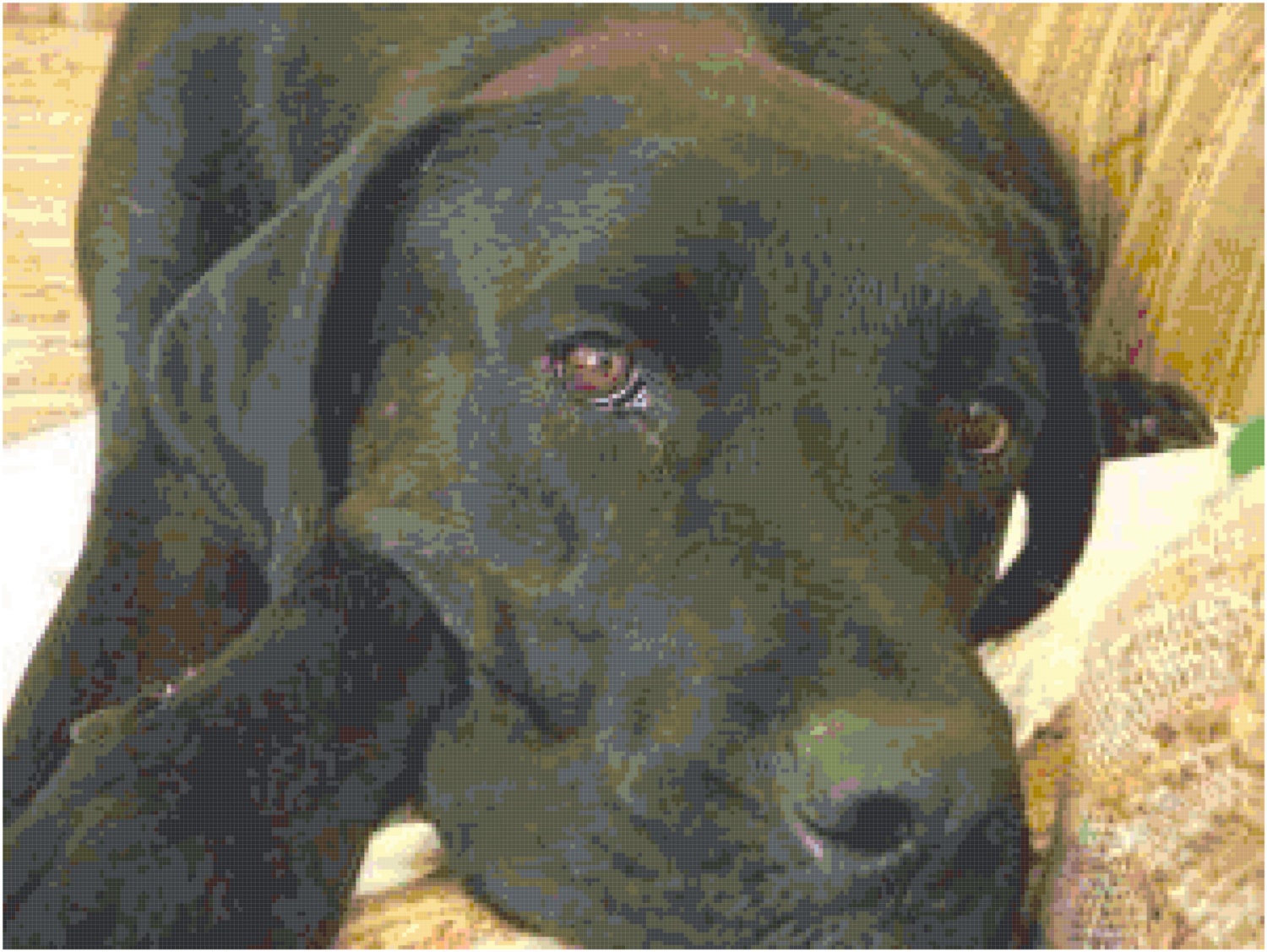 Chocolate Lab Dog Cross Stitch Pattern, Instant Download PDF - Etsy