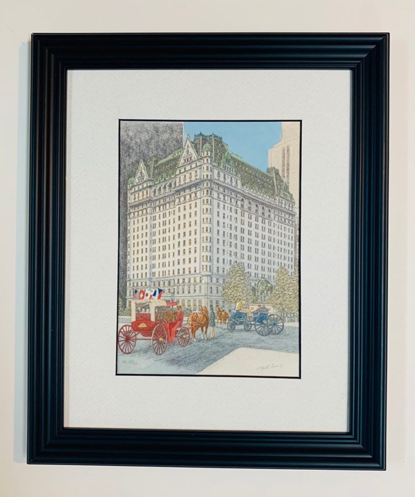 New York , the Plaza , by Martin Barry , Matted or Framed - Etsy