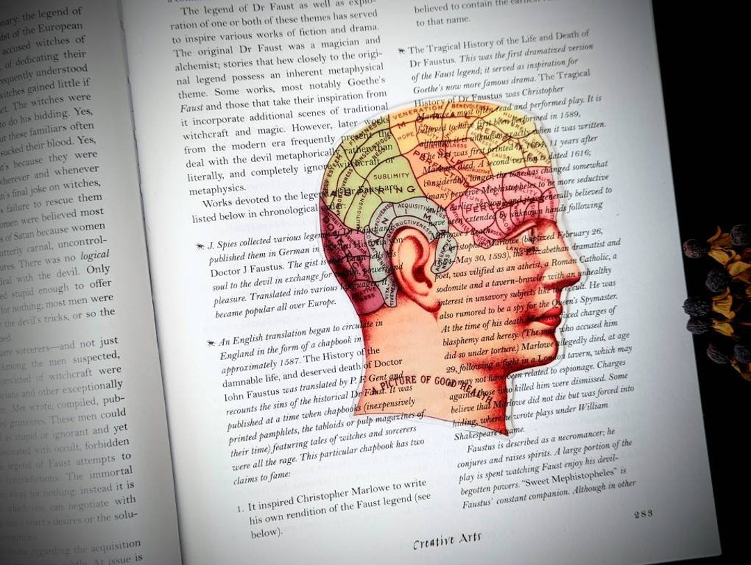 Clear Bookmark Phrenology Brain Cranium Head Human Anatomy Vintage Goth ...