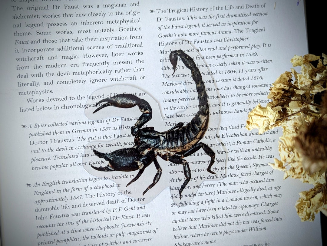 Clear Bookmark Vintage Scorpion Arachnid Desert Nature Dark Academia ...