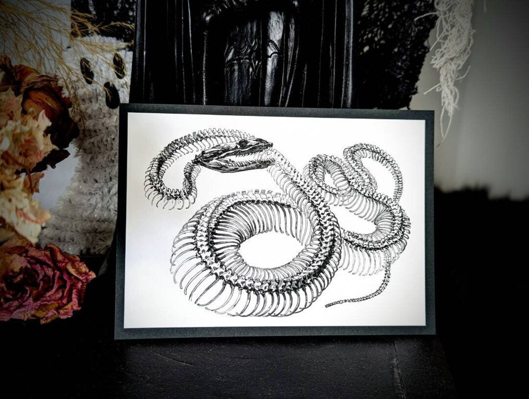 5x7 Art Print Snake Skeleton Goth Gothic Horror Halloween Home Wall ...