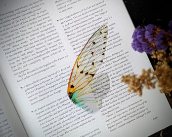 Clear Bookmark Vintage Butterfly Moth Wing Insect Bug Colorful Nature ...