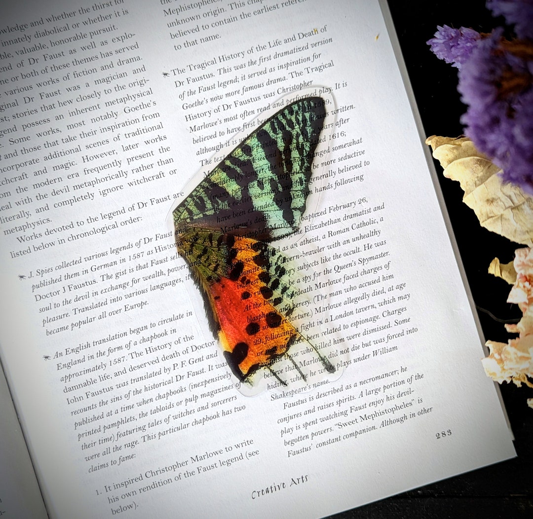 Clear Bookmark Madagascar Sunset Moth Chrysidiria Rhipheus Wing Nature ...