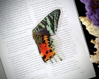 Clear Bookmark Vintage Butterfly Moth Wing Insect Bug Colorful Nature ...