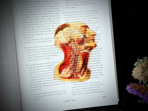 Clear Bookmark Vintage Anatomy Medical Illustration Goth - Etsy