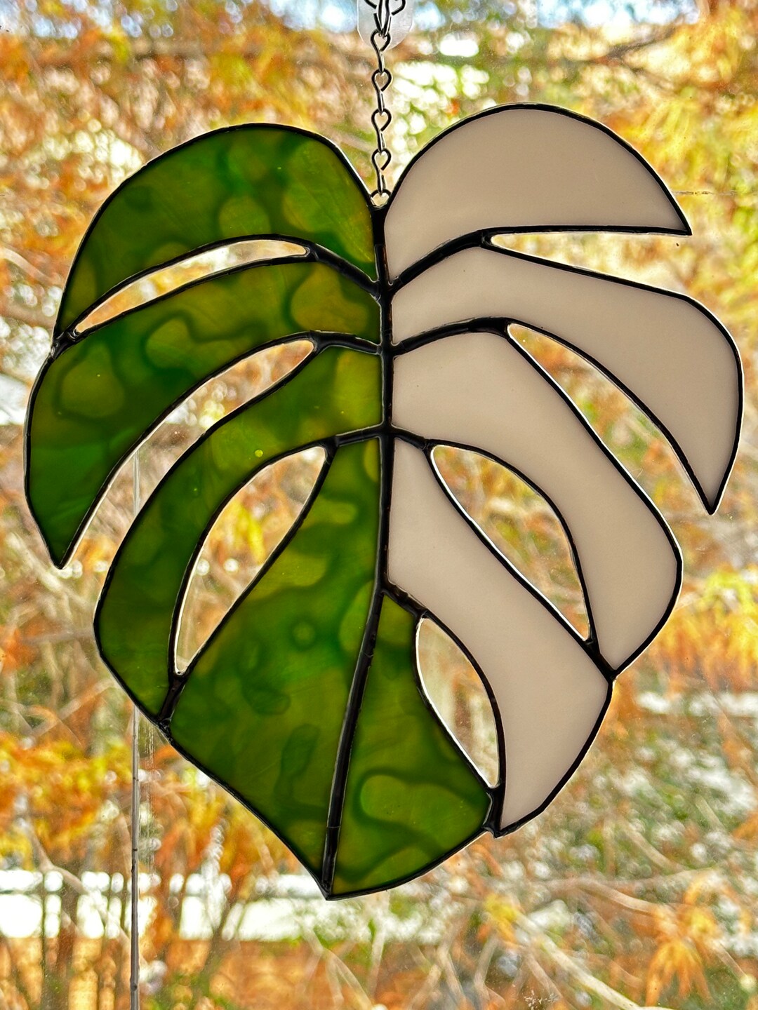 Monstera Albo Leaf Suncatcher - Etsy