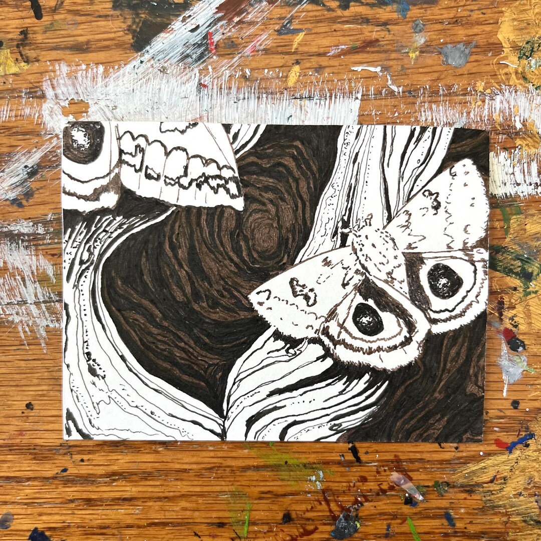 Io Moths - Mini 3 X 4 Inch Original Pen and Ink Drawing - Etsy